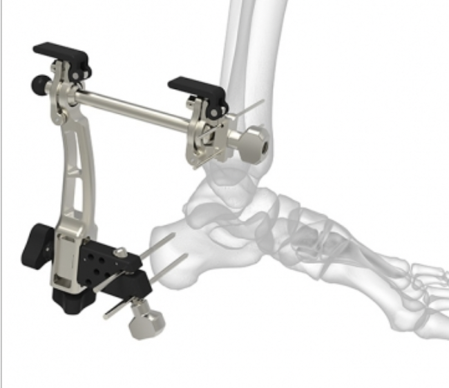 Management | The Bone School